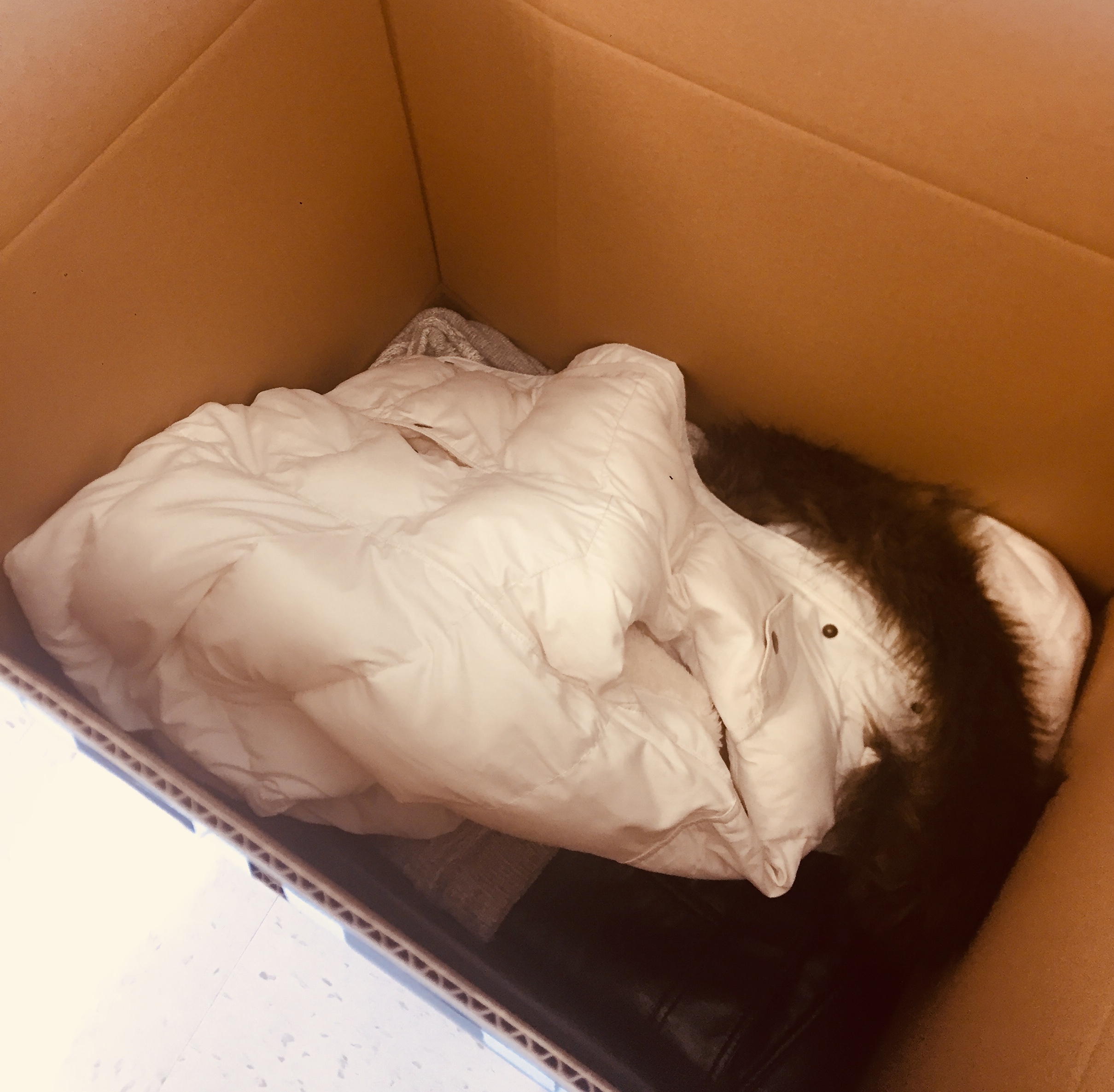 Burnham Brown's "One Warm Coat" drive a success!